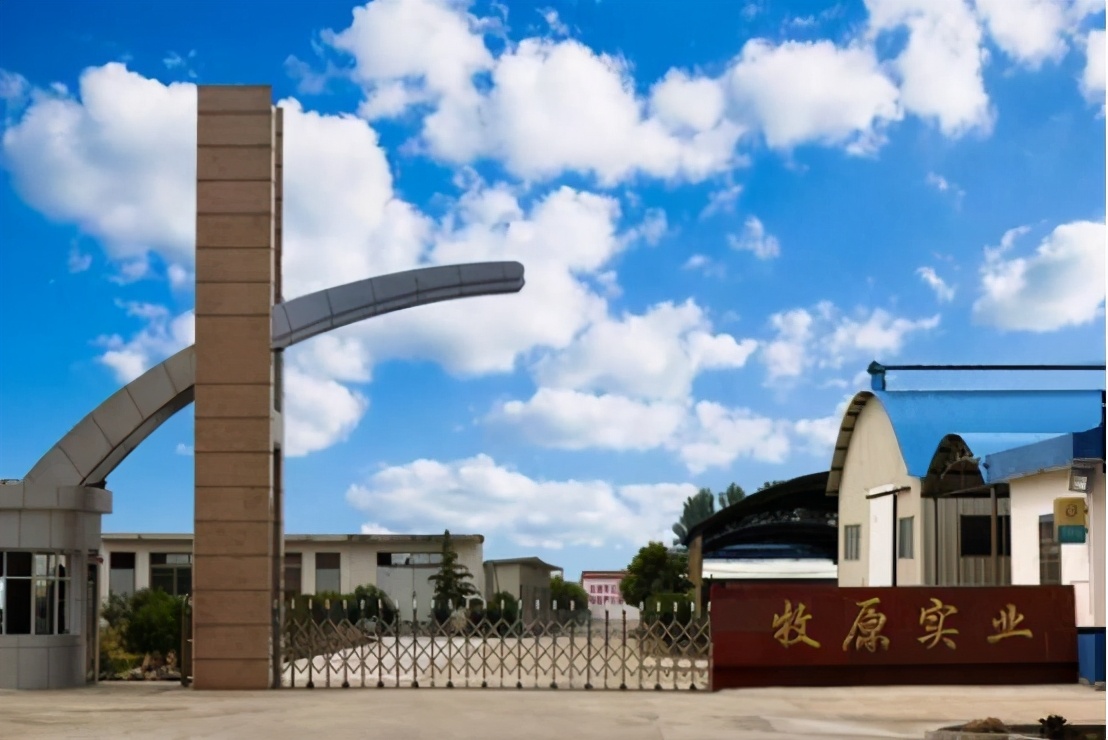 Qin Yinglin: The "new face" of the Forbes rich list, wealth is second ...