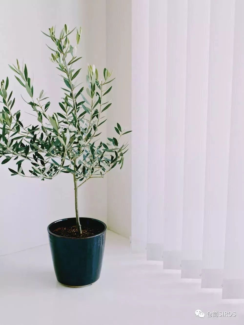 Unconscious design thinking - iMedia