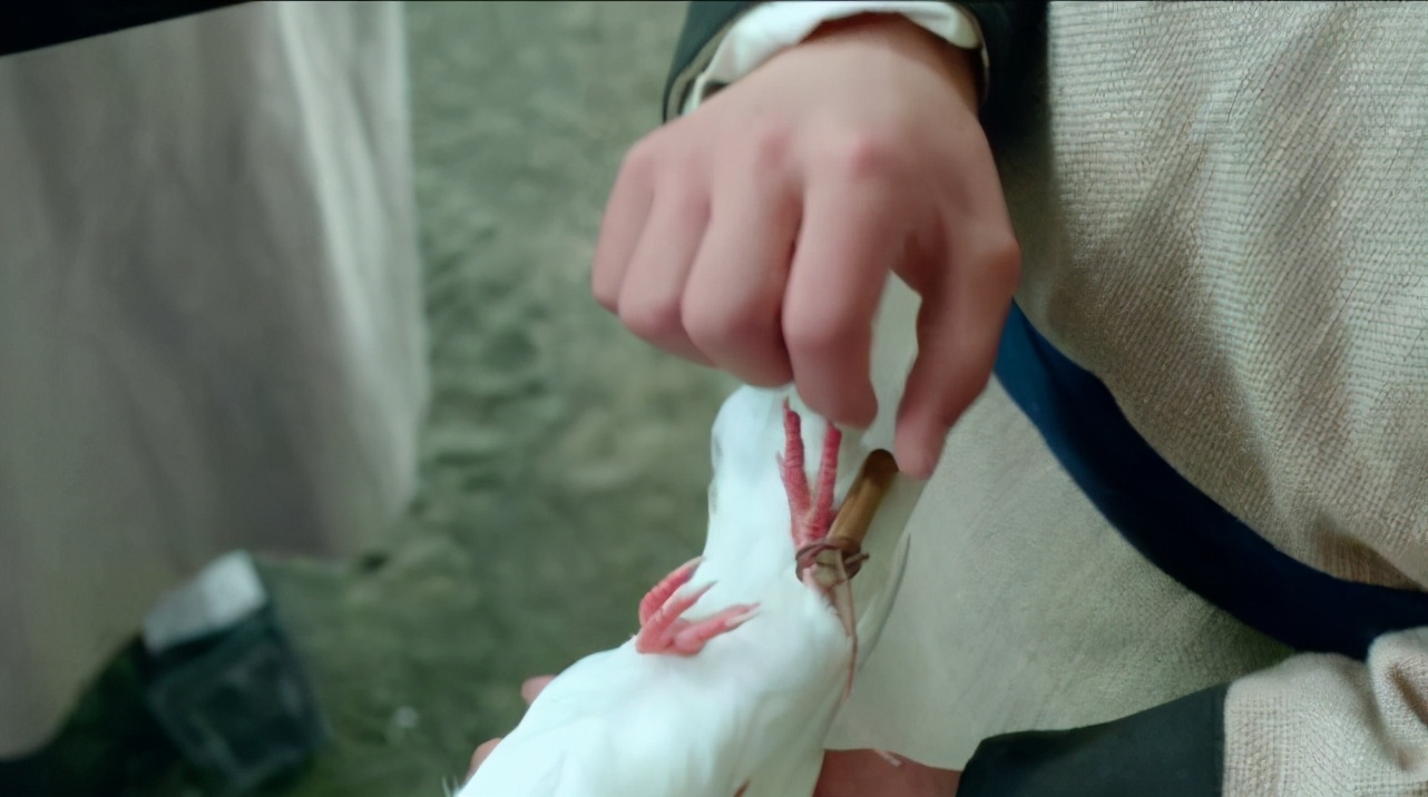 Why do you find this animal when you are fighting a devils, and you ...