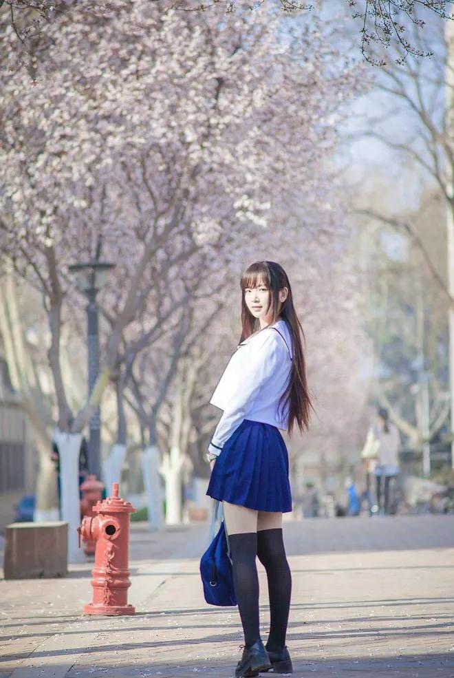 JK Uniform Outdoor Cherry Blossom Atlas - iNEWS