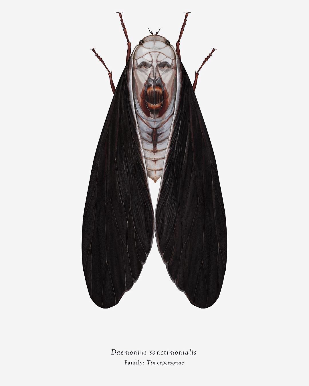 9 kinds of the most evil-looking beetles, exactly corresponding to the ...