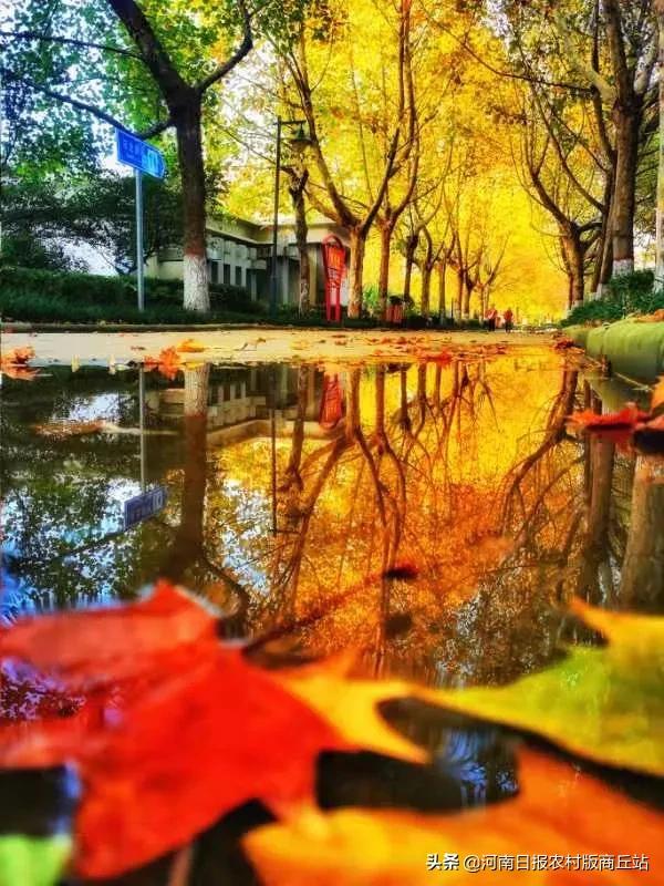 Zhecheng: The early winter scenery is intoxicating - iNEWS