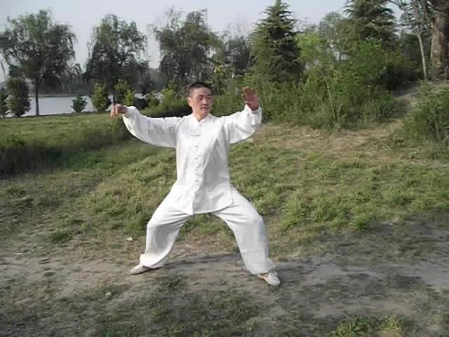 The "Bagua" and "Five Elements" of the 13 Taijiquan Positions - iNEWS