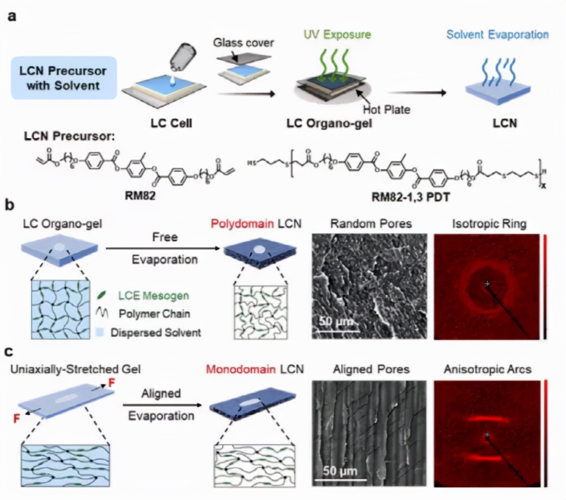 Yang Shu, University of Pennsylvania: Solvent-assisted 4D programming ...