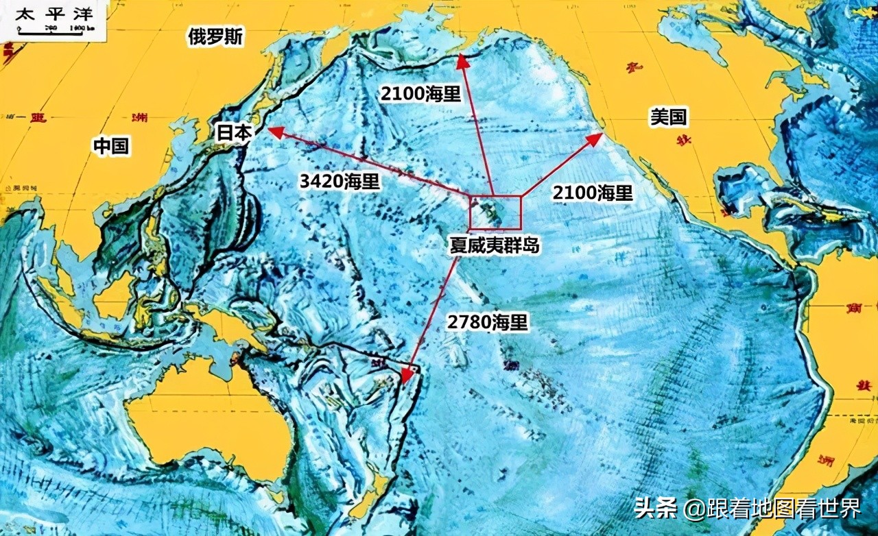 Why are Americans so fascinated by guano?How did the United States ...