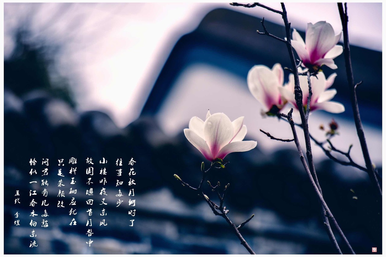 Li Yu, the postmaster of the Southern Tang Dynasty: the emperor who ...