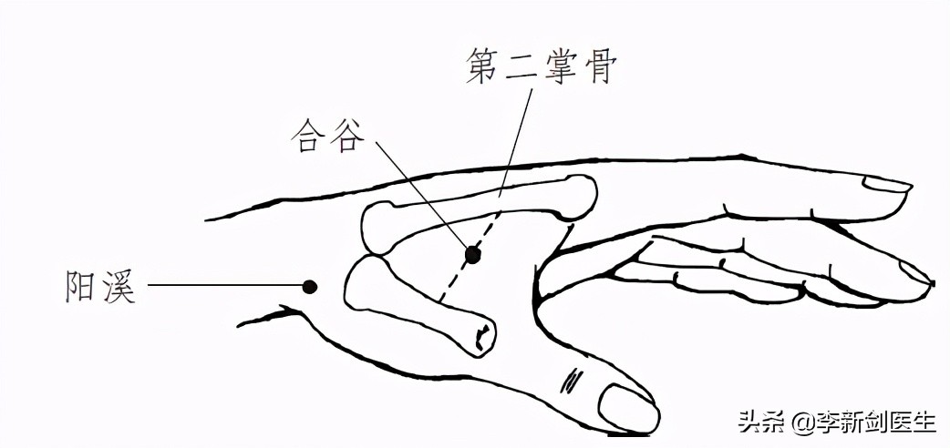 Acupoint Code-Hegu Point - iNEWS