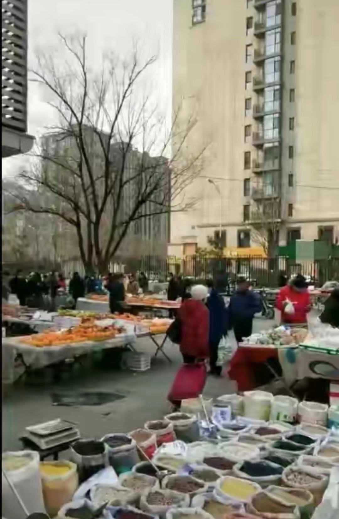 85-year-old "Rong Yi" appeared in the old vegetable farm, catching up ...