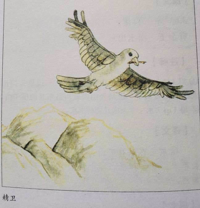 The Jingwei of Shanhaijing reclaims the sea, bird? - iNEWS