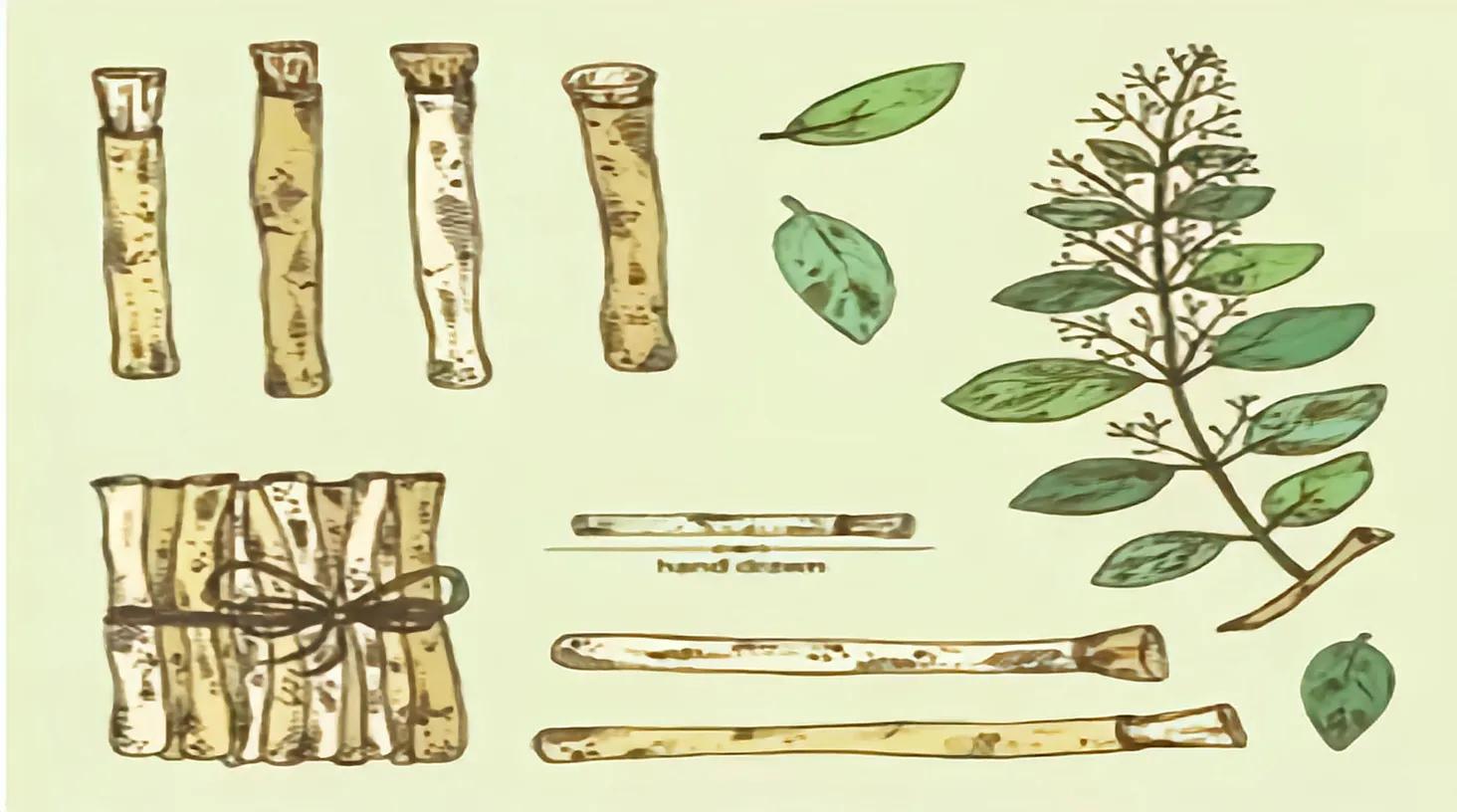 How did the ancients brush their teeth?Far more exquisite than today's ...