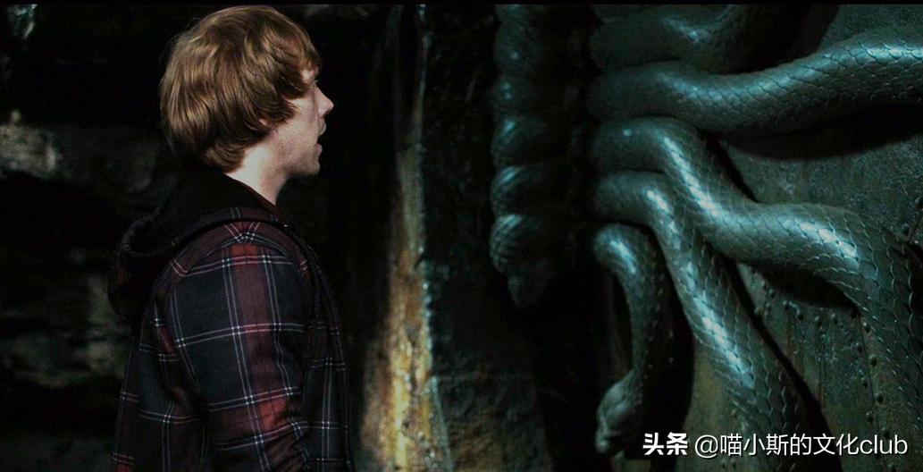 "Harry Potter": How did Dumbledore learn the snake language without ...