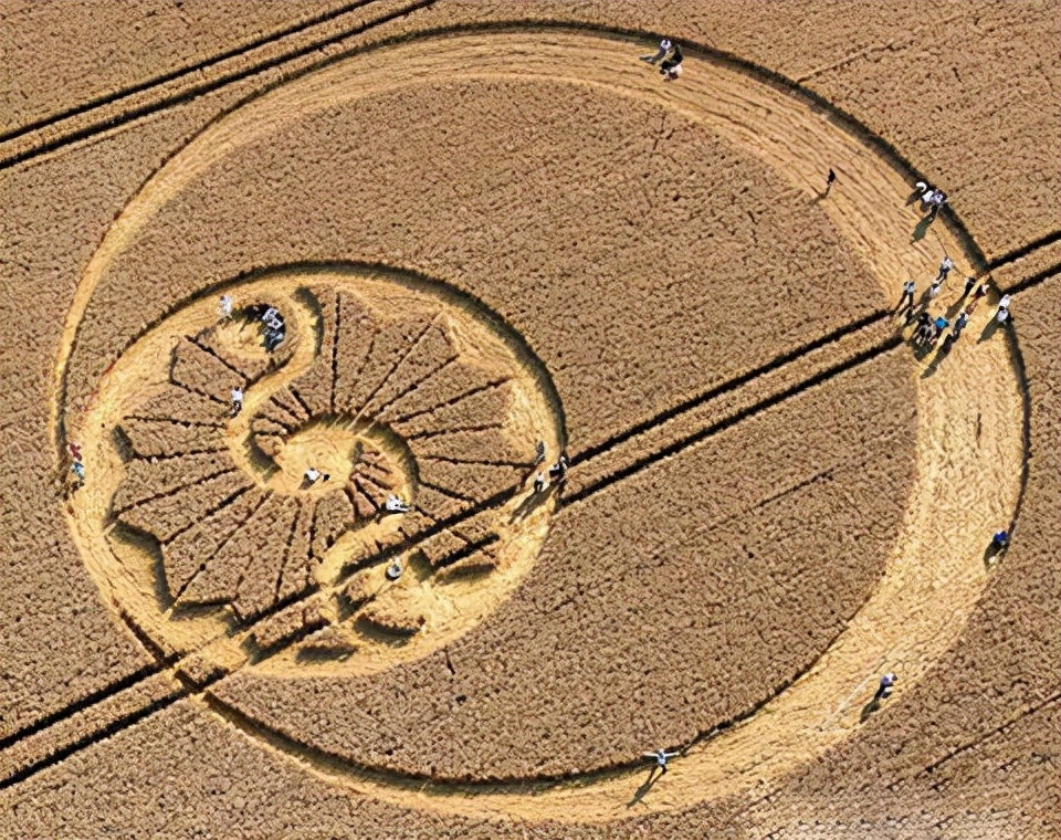 Strange circles in foreign wheat fields are artificial pranks?Or are ...