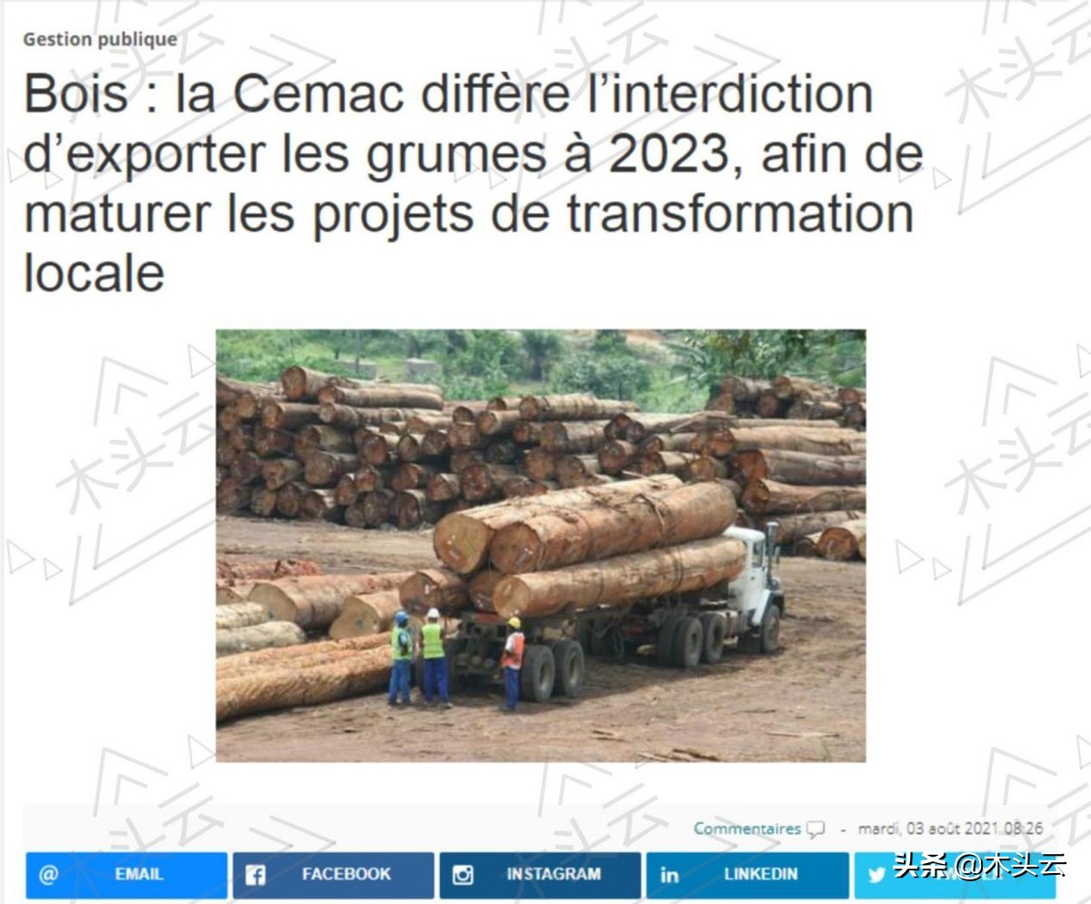 African log export ban postponed to 2023 - iNEWS