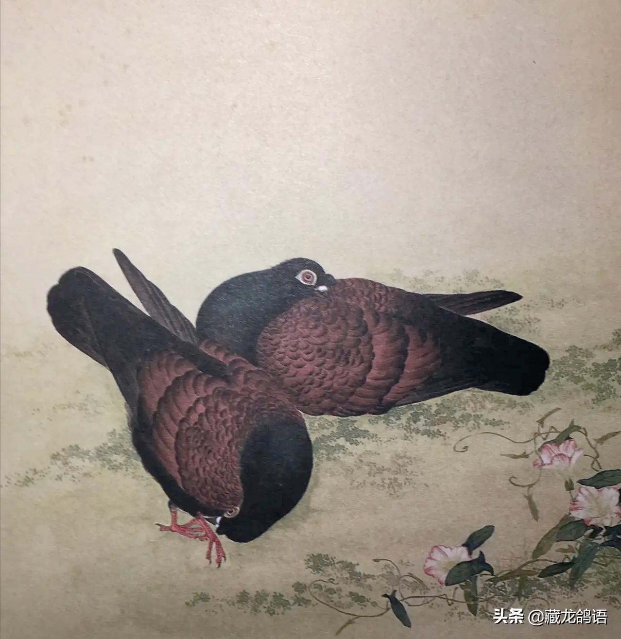 Ten Rules of Dynamic Pigeon Identification - iNEWS