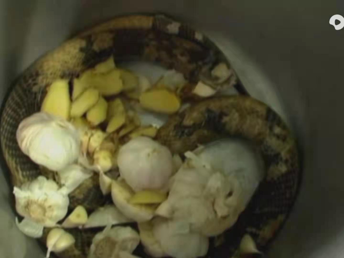 In the snake-eating culture of these Asian countries, having dinner ...