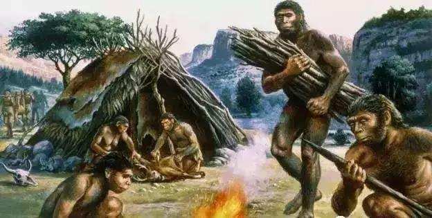 From apes to humans, why have humans become "hairless" in the process ...
