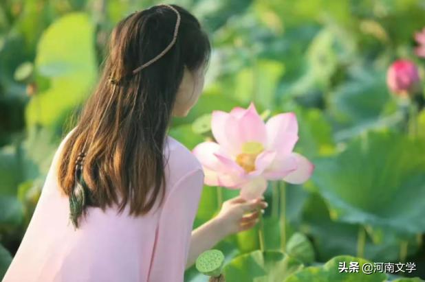 Gu Haiyan: Let's hold a lotus in midsummer (prose) - iNEWS