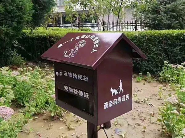 Civilized dog raising, I start by "petting"! - iNEWS