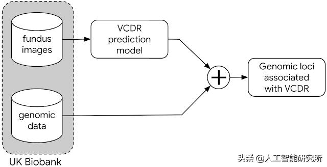 Prediction and learning of the genome through machine learning to ...