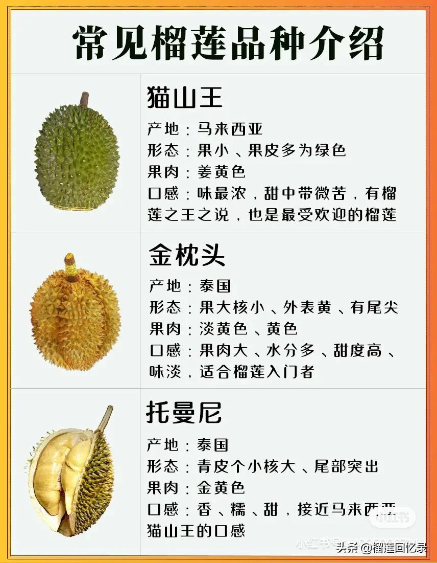 Introduction of 9 common durian varieties, the first one is the most ...