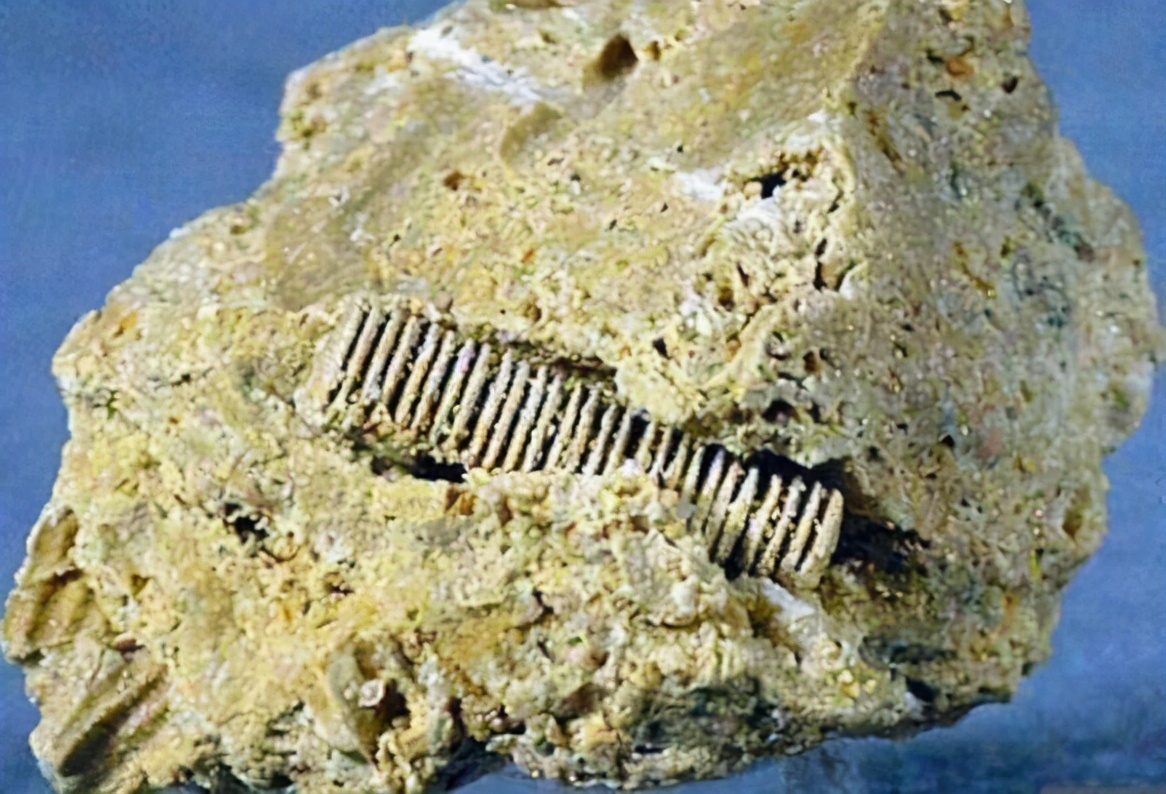 Screws inlaid in the stone 300 million years ago opened a prehistoric ...