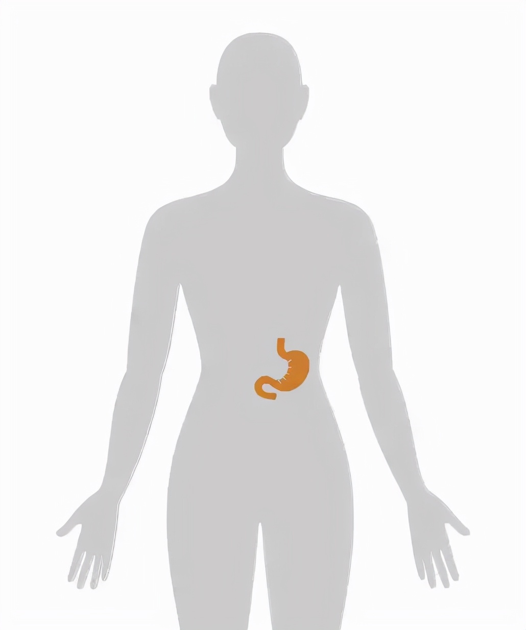 Cancer human body map, tell you the truth about cancer - iNEWS
