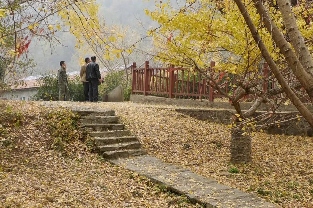 CCTV "Remember Homesickness" film crew walks into Anlu Qianchong - iNEWS