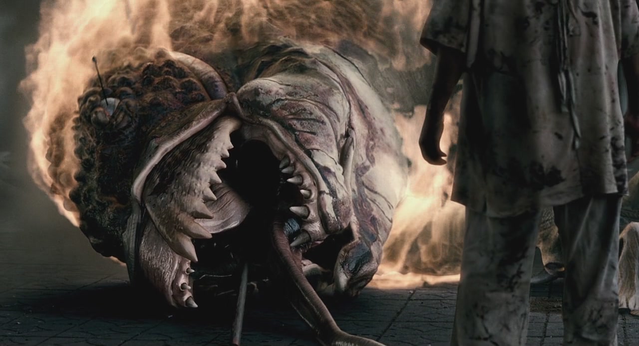 "Han River Monster": Social reflection brought by a mudskipper - iNEWS