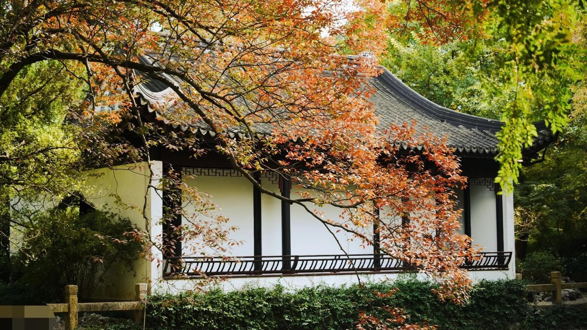 Shanghai Qingpu Qushui Garden, the best-preserved ancient garden, was ...