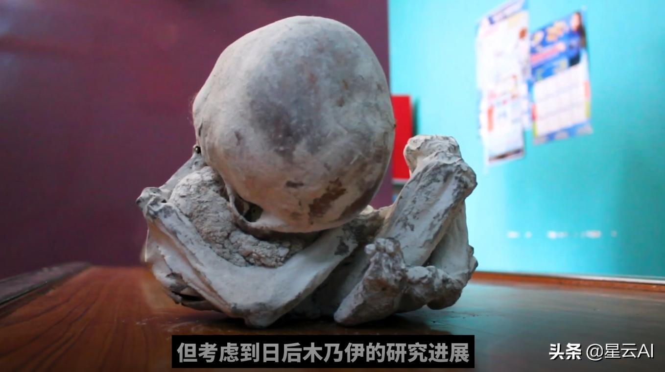 Nazca alien mummy, an amphibian with three fingers and toes - iMedia