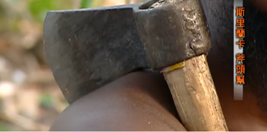 The axe gang of primitive tribes: they are trapped in the forest ...