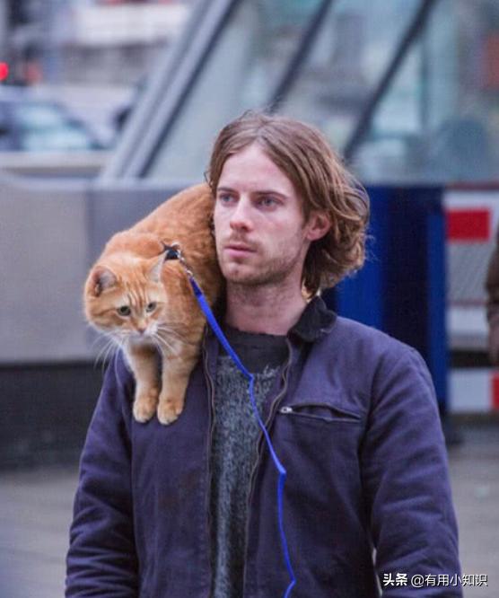 The biographical film "The Stray Cat Bob", the cat plays himself - iNEWS