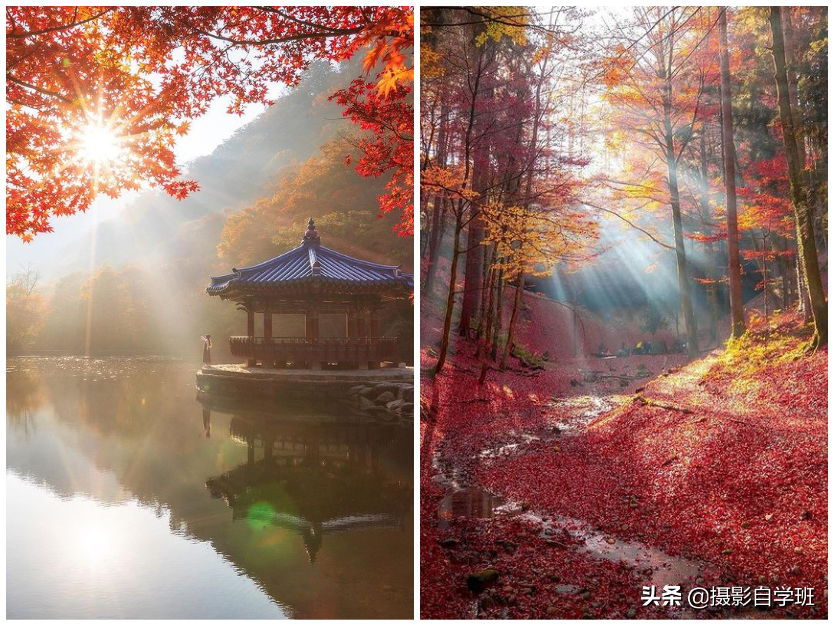 Taking beautiful scenery photos is not difficult. With these 9 scenery ...