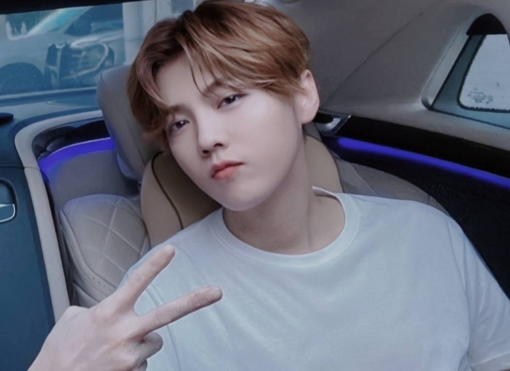 There are 6 major fans of Shenpa Luhan fans, without exception, every ...