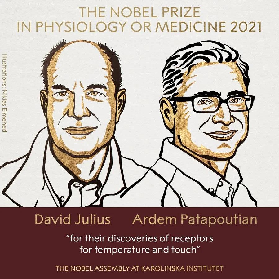 The Nobel Prize in Physiology or Medicine is awarded to molecular ...
