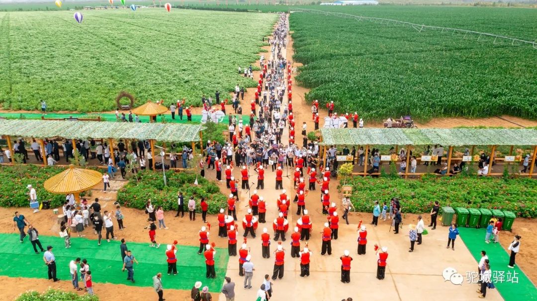 The 10,000 mu potato flower sea in Yulin is so beautiful!Go to check in ...