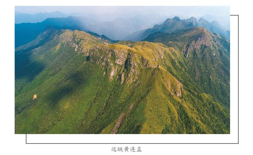 Longyan Geological Park: The years are colorful, and the days are ...