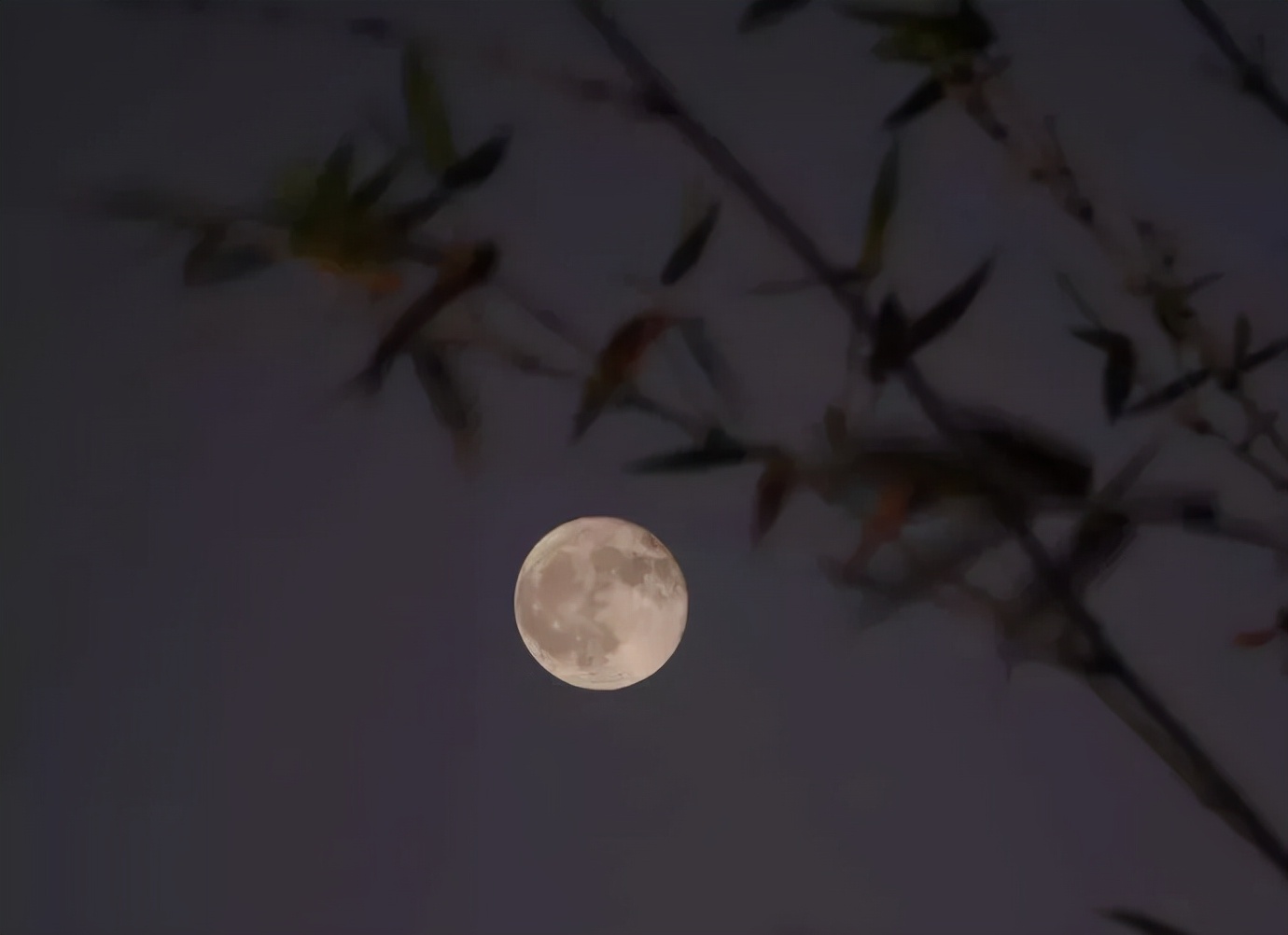 The warm autumn colors of Bailu, the moon, Ming and Qing leak - iNEWS