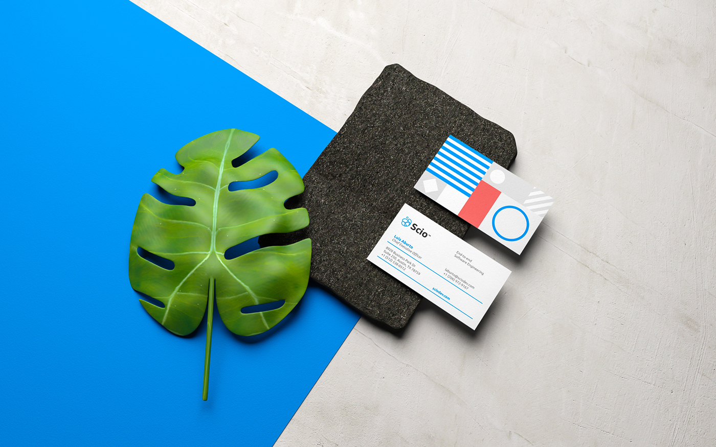 Scio software development brand image design - iNEWS