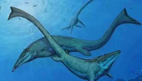 Neptune dragon: the top predator in the Cretaceous ocean, the 17-meter ...