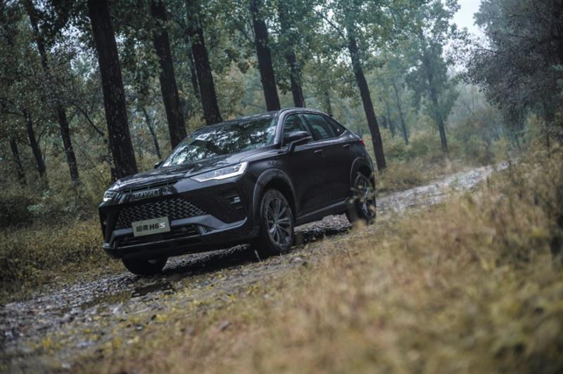 Combining the two major platforms of the Great Wall, Haval H6, adding a ...