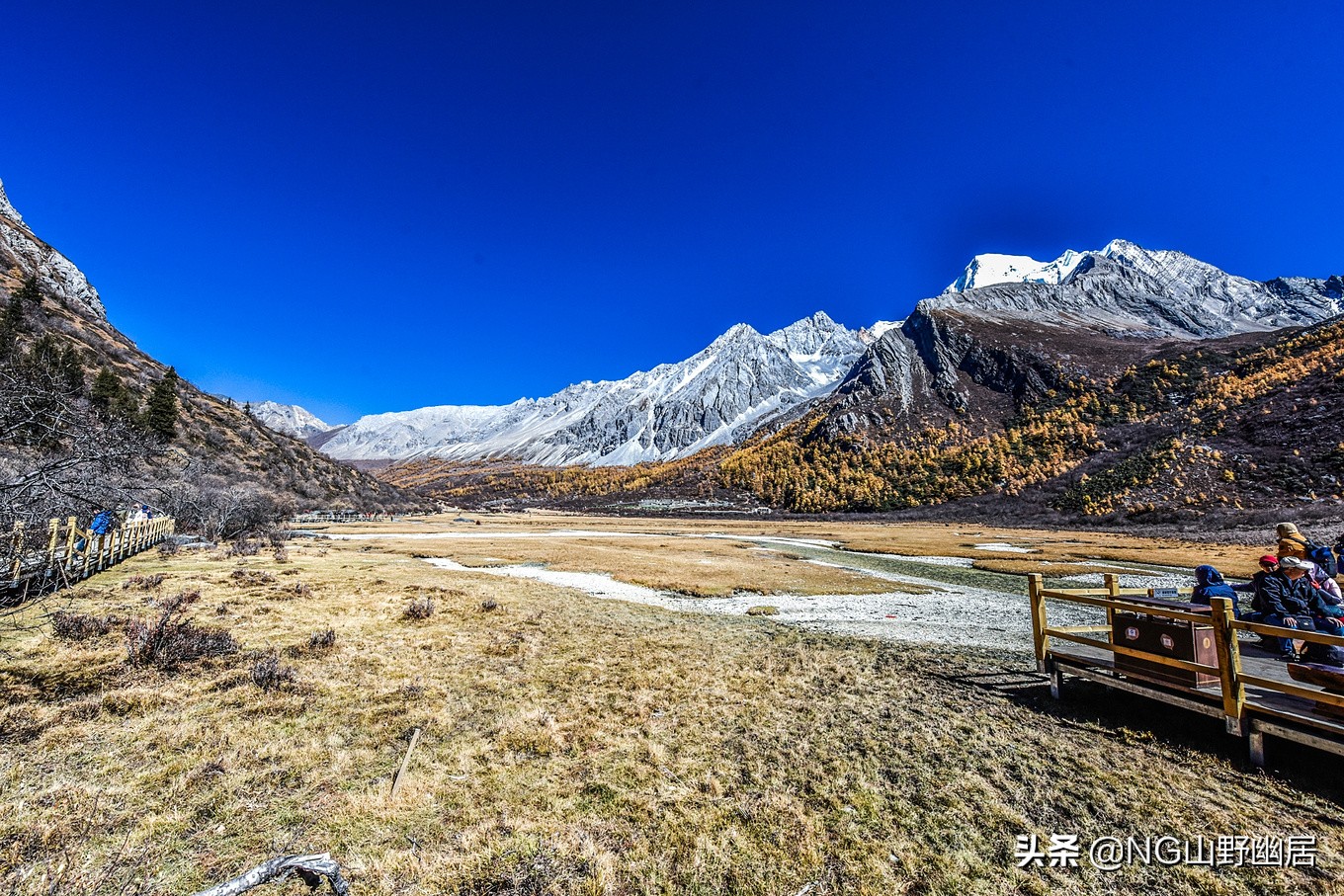 Sichuan Chonggu Meadow: The plateau grassland that was supposed to be ...