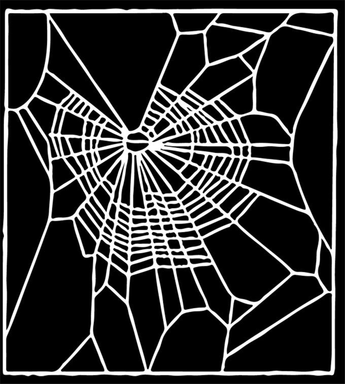 NASA's alternative spider web weaving experiment allows spiders to ...