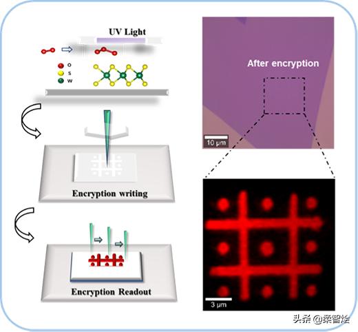 The thinnest optical disk: rewritable data storage and encryption on ...
