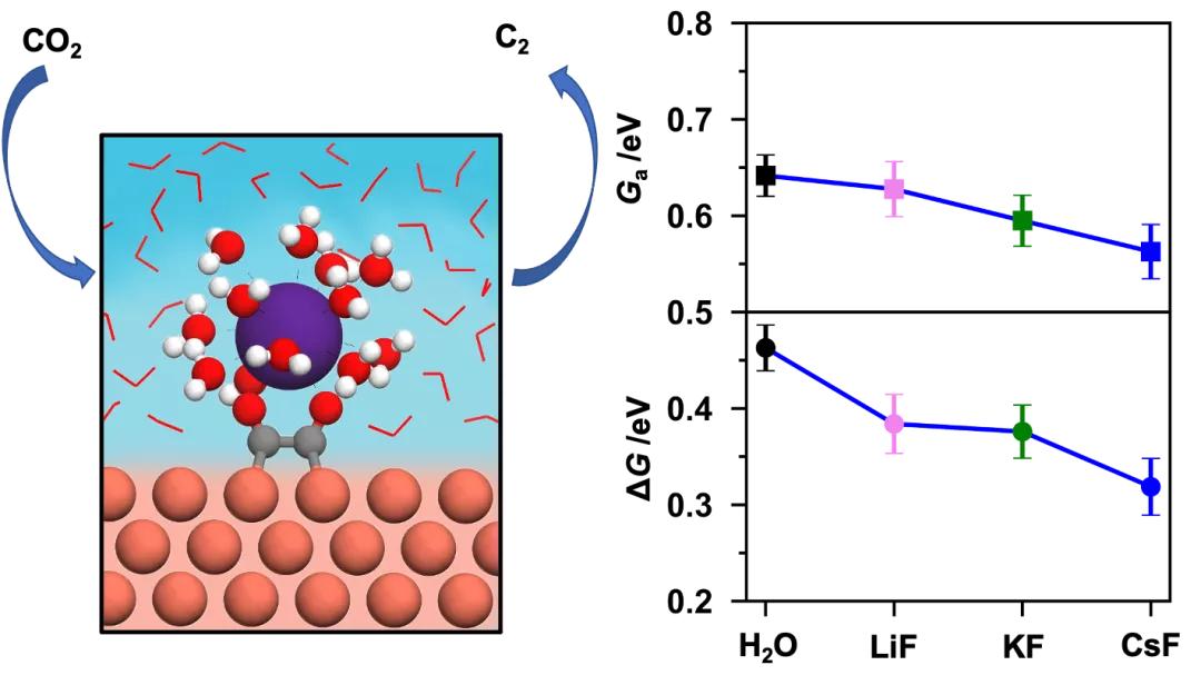 Shanghai University of Science and Technology reveals the promoting ...