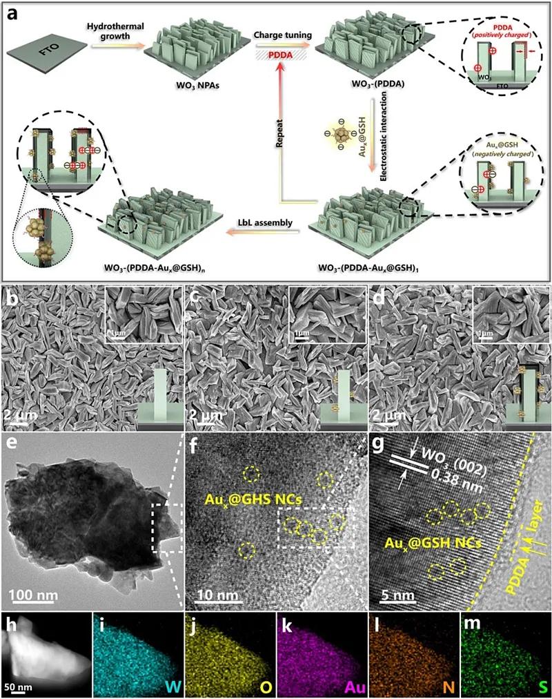 Solid non-conjugated polymer regulates interface charge separation to ...