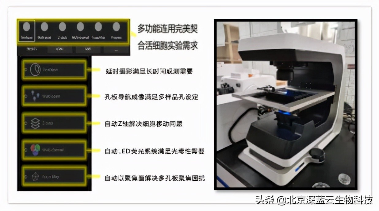 How to make the observation of living cells easy, just have the ECHO ...