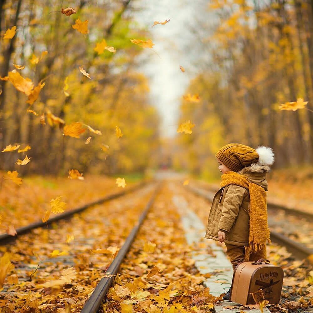 How to take good photos of autumn leaves?Master these 10 and ...
