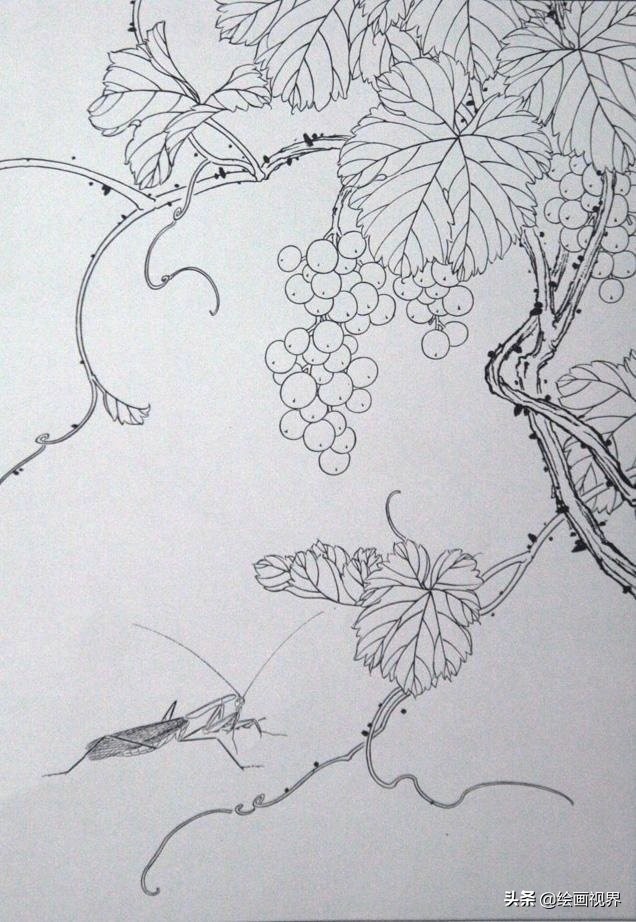 How do beginners draw correctly?Hurry up and collect these rare line ...