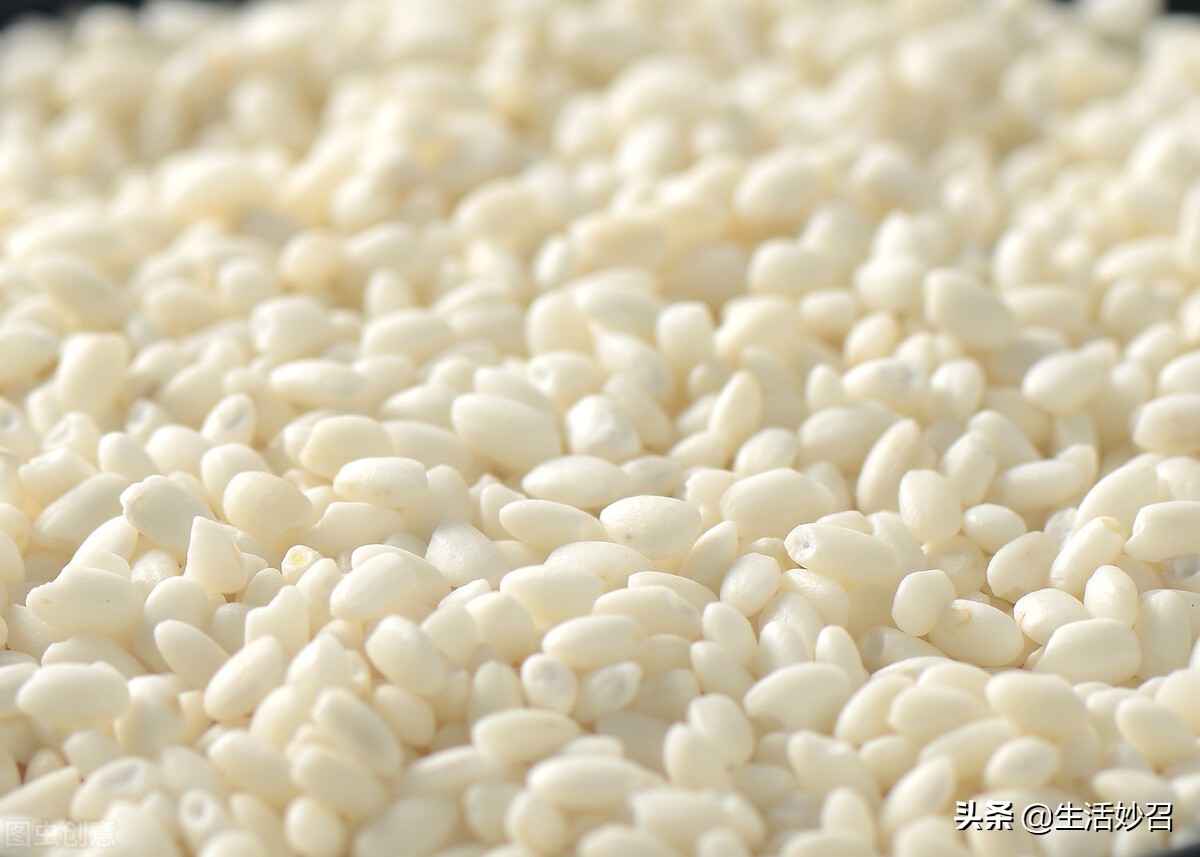 The difference and characteristics of japonica rice, indica rice and ...